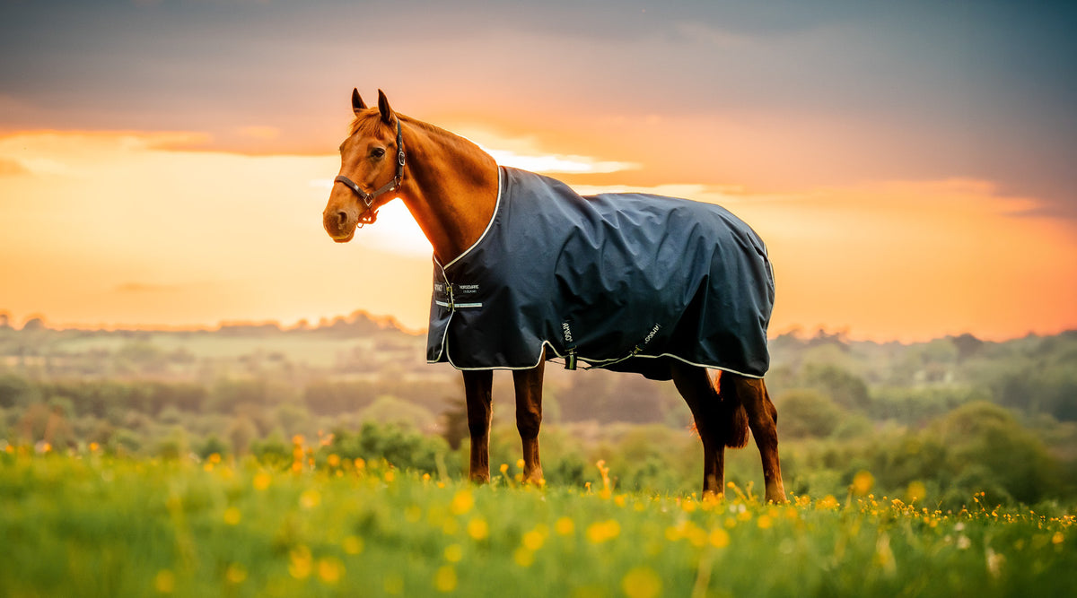 Horze - Your online shop for everything you need in equestrian sports ...