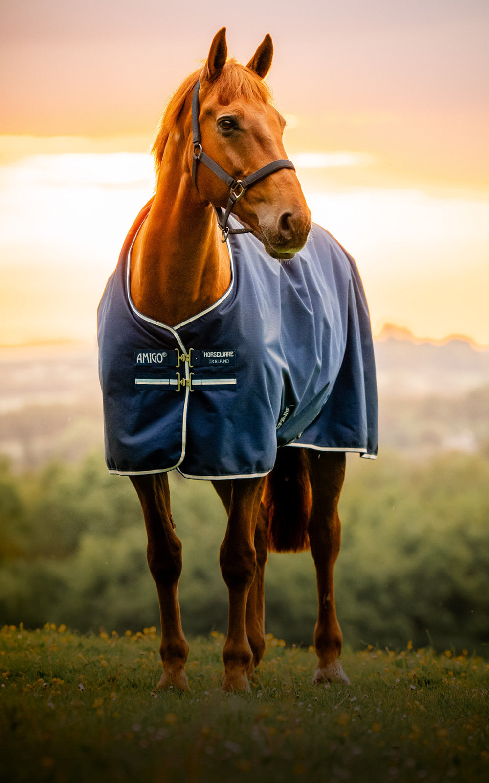 Horze - Your online shop for everything you need in equestrian sports ...